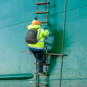 Pilot Ladder (MED/SOLAS) - Mars Safety International Pte Ltd | Expert ...